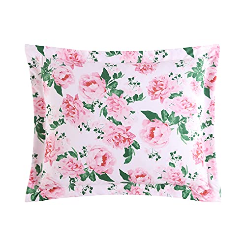 Betsey Johnson - Queen Duvet Cover Set, Reversible Bedding with Matching Shams, All Season Home Decor (Blooming Roses Pink, Queen)