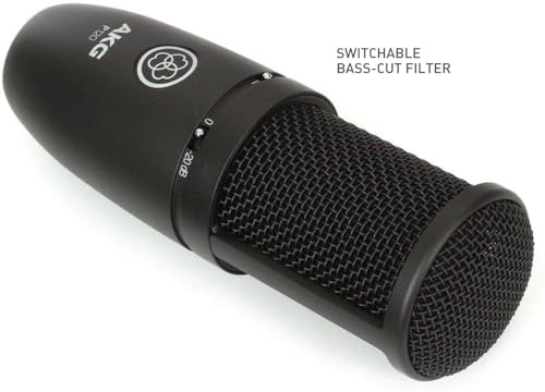 AKG Pro Audio P120 - Affordable 2/3-Inch Diaphragm Condenser Microphone for Clear Vocals & Instruments. Studio Recording or Live. XLR Connector. Black
