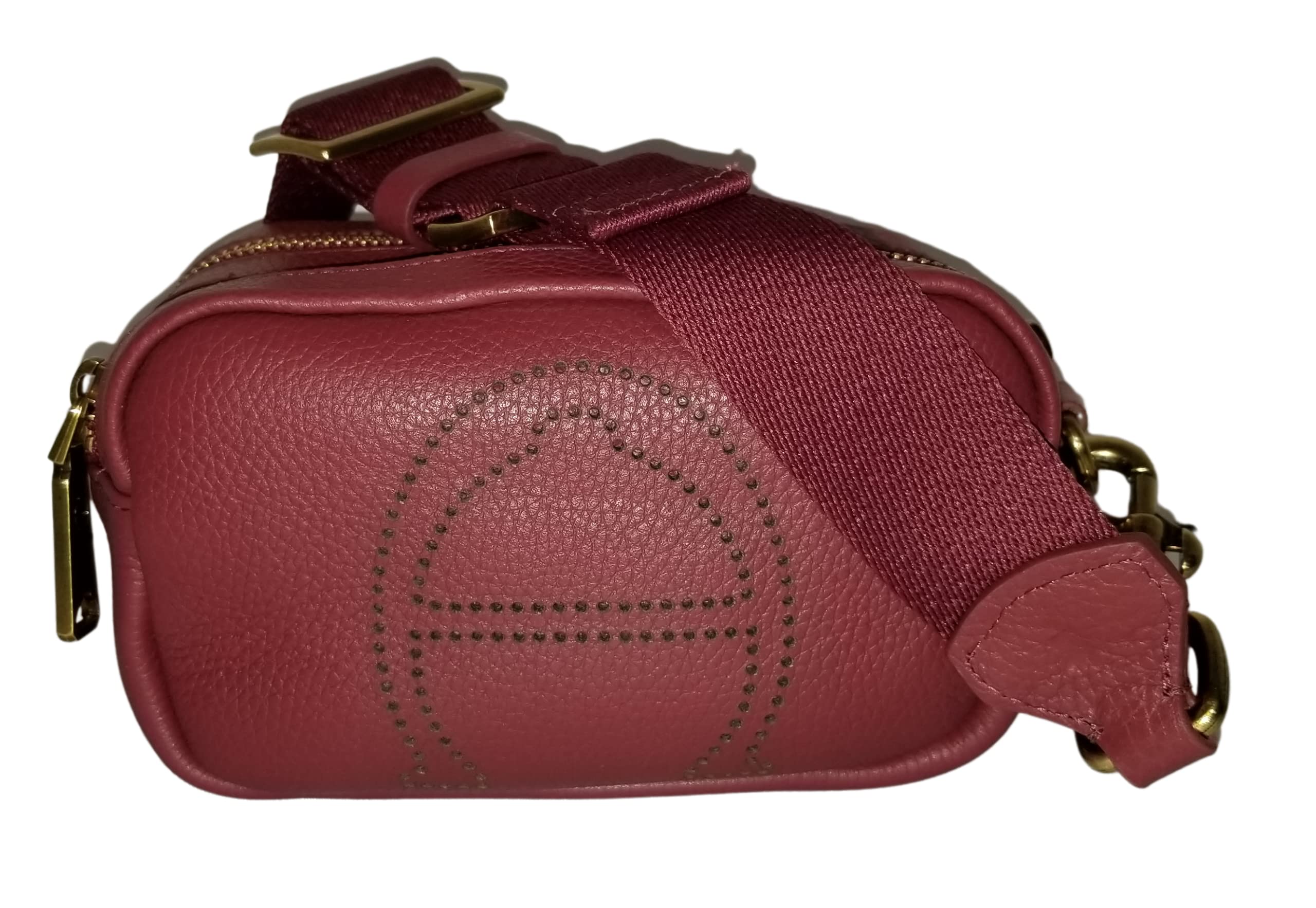 Etienne Aigner Stella Mini Leather Camera Crossbody - Antic Cordovan