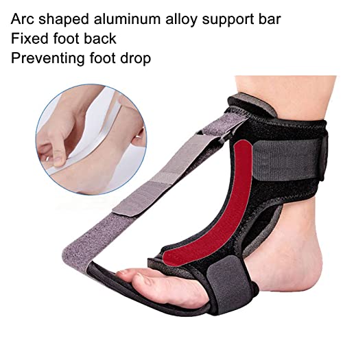 Foot Brace Plantar Fasciitis Night Splint Men Women Foot Drop Orthotic Brace Ankle Support for Heel Spur Arch Ankle Pain(S)