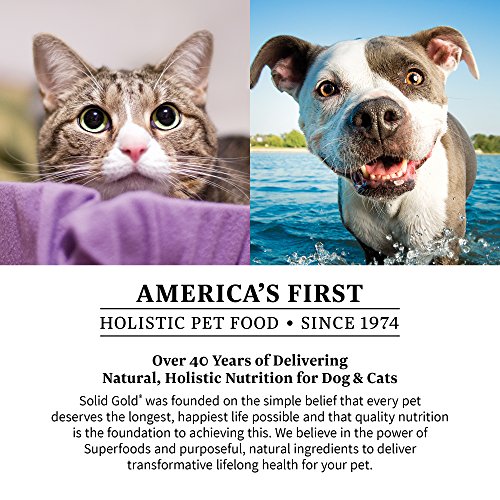 Solid Gold Cranberry Supplement for Dogs & Cats for Urinary Tract Health - Berry Balance Chews UTI + Bladder + Kidney Support for Cats and Dogs with Antioxidants