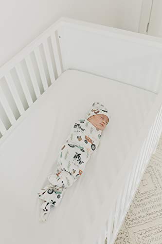 Large Premium Knit Baby Swaddle Receiving Blanket"Jo" by Copper Pearl