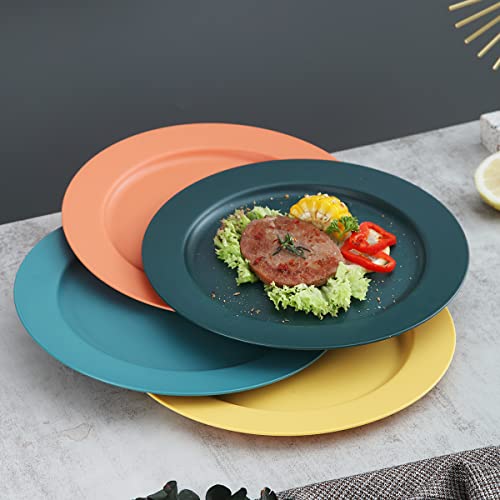 Kyraton 10 Inch Large Plastic Plates 8 Pieces, Dishwasher Safe, Unbreakable And Reusable Light Weight Dinner Plates Microwave Safe BPA Free (Mutil Color)