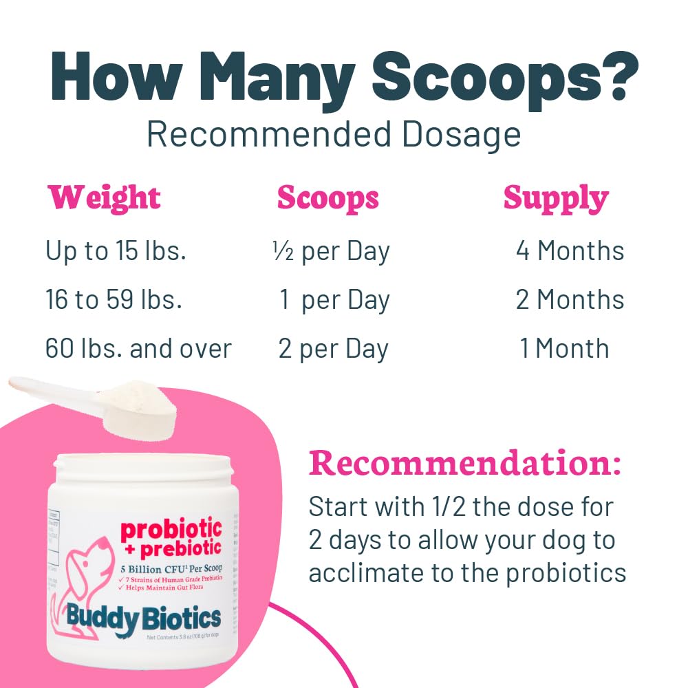 Buddy Biotics Probiotic + Prebiotic for Dogs- Gut Flora Health, Digestive and Immune Health, Diarrhea and Bowel Support β 5 Billion CFU per Scoop
