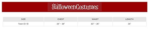 Fun World Womens Sweet Raccoon Teen Costume, Gray, Junior 0/9 US