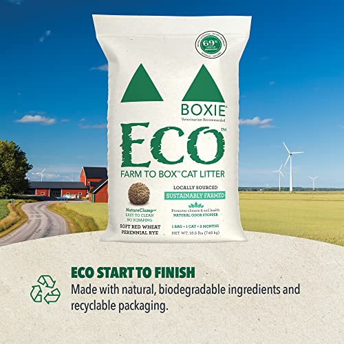 Boxiecat Eco Farm to Box Ultra Sustainable Cat Litter -Scent Free- 16.5 lb- Lightweight, Plant-based Premium Clumping Formula- All Natural Odor Control, Stays Ultra Clean