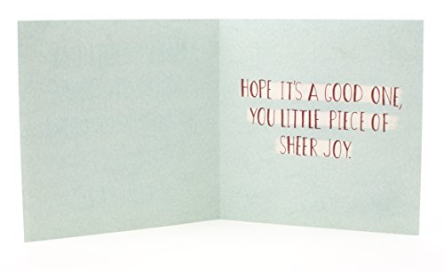 Hallmark Studio Ink Birthday CardĀ (Son of a), Sarcastic Humor (0299RZJ5029)
