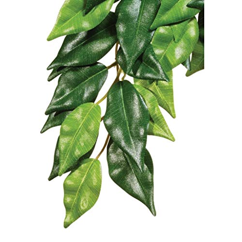 Exo Terra Silk Terrarium Plant, Medium, Ficus
