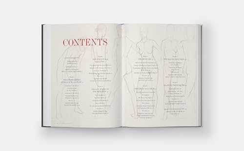 Basic Human Anatomy: An Essential Visual Guide for Artists