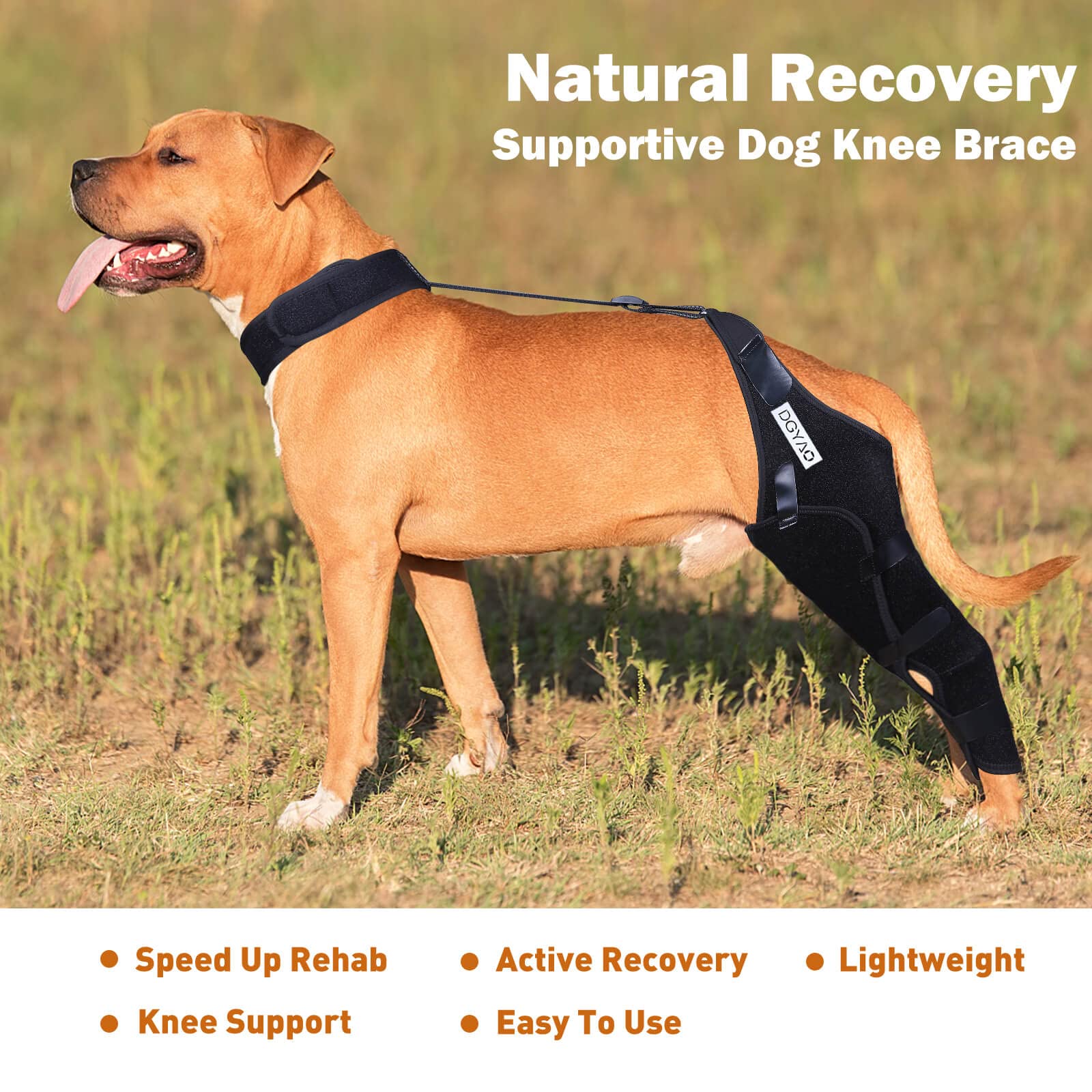 DGYAO Dog Knee Brace for ACL, Knee Cap Dislocation, Arthritis - Full Wrap - Easy Adjustable - Extra Support - Reduces Pain and Inflammation β Full Sizes