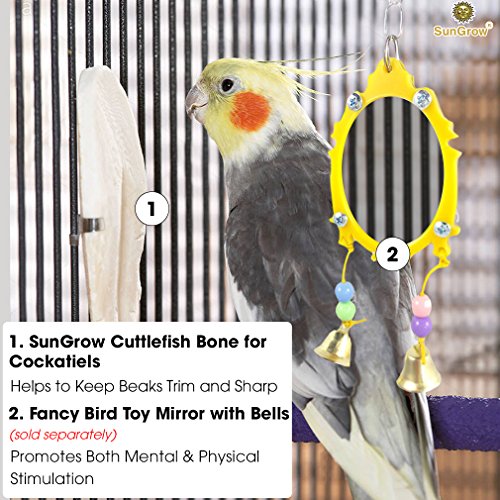 SunGrow 4 Pack Cuttlefish Bones for Cockatiels, Turtles, Shrimp, Dog Calcium Supplement, Cuttlebone Cage Holder Included