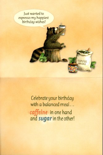 Leanin' Tree Funny Greeting Cards - Laughing Bear Art [AST90760] - 20 Greeting Cards with Full-color Interiors