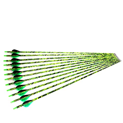 ACCMOS Spine 500 Arrow 26 Inch Arrow Target Practice Arrow Hunting Arrow Carbon Arrows Compound Bow Recurve Bow Adult Youth Archery Indoor Outdoor Shooting Field Tip 12pc