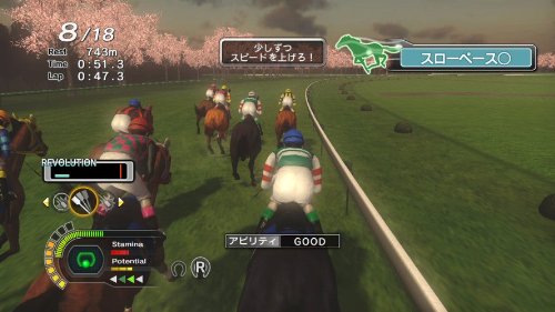 Champion Jockey: G1 Jockey & Gallop Racer [Japan Import]