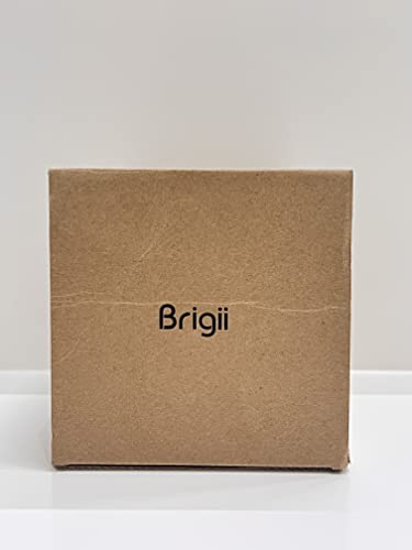 Brigii Desk&Clip Fan, Small Fan 14H Long Battery Life, Battery Level Display, 5 INCH Travel Fan, 4-Speed, Type-C Rechargeable-PF01(White)