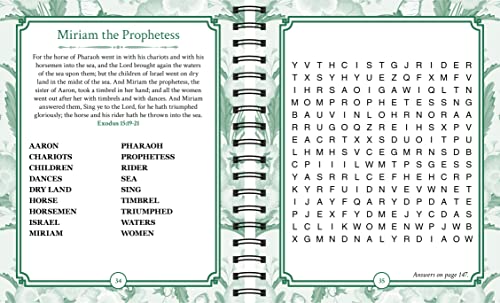 Brain Games - Large Print Bible Word Search: Women of the Bible (Brain Games - Bible)