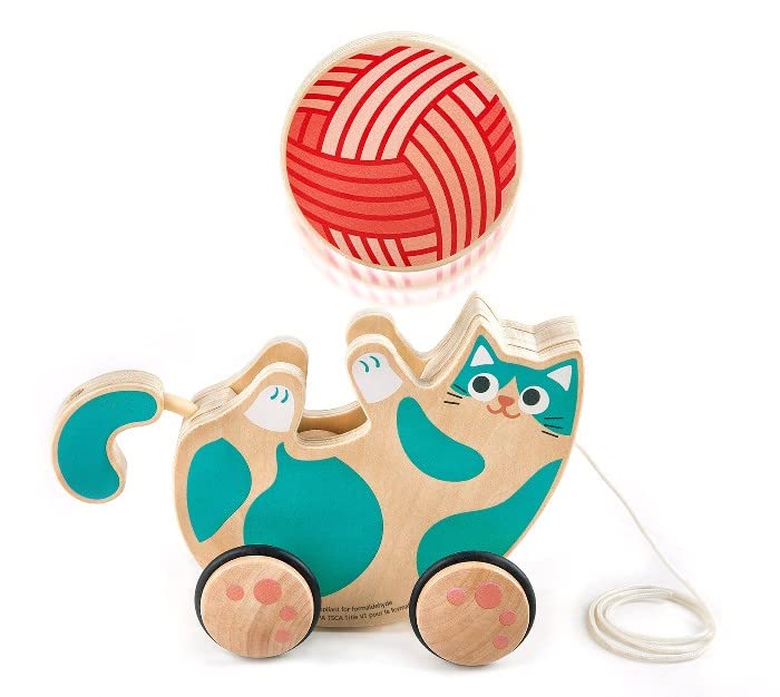 Hape Wooden Walk-A-Long Kitten Pull Toy| Roll & Rattle Push Pull Toy for Toddler| Montessori Toys for Walking Toddlers, Green