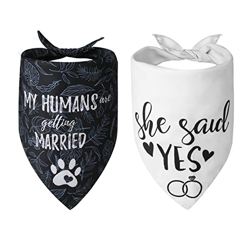 Dog Engagement Announcement, Will You Marry My Daddy Dog Bandana, Dog of Honor Bandana Wedding, Wedding Engagement Photos Pet Scarf Accessories for Small Medium Large Dog (White+Black)