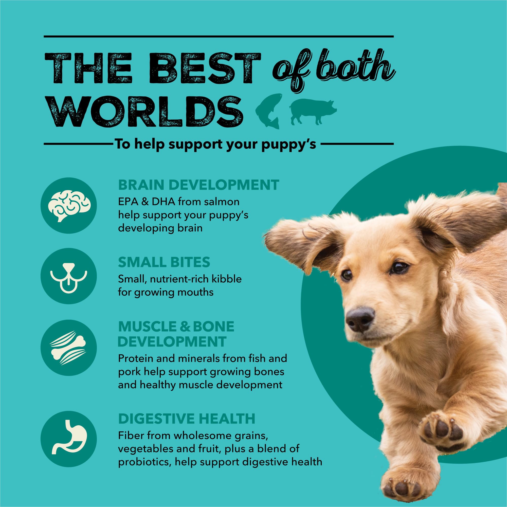 ACANA™ Wholesome Grains Dry Dog Food Puppy Sea & Farm Recipe, 4lb