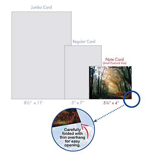 The Best Card Company - 20 Landscape Nature Note Cards Blank (4 x 5.12 Inch) (10 Designs, 2 Each) - Shining Through AM1735OCB-B2x10