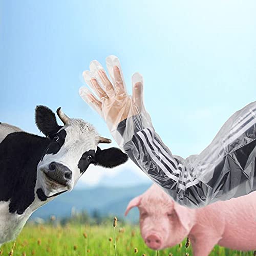 Barafat 50 Pieces Disposable Field Dressing Gloves, Veterinary Insemination Rectal Long Gloves, Extra Long Sleeve Full Arm Gloves, Cow Deer Palpation Gutting Gloves (Transparent)