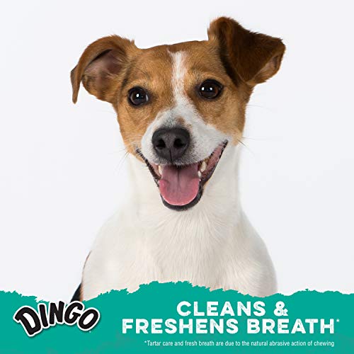 Dingo Tartar and Breath Dental Spirals for All Dogs, 15-Count