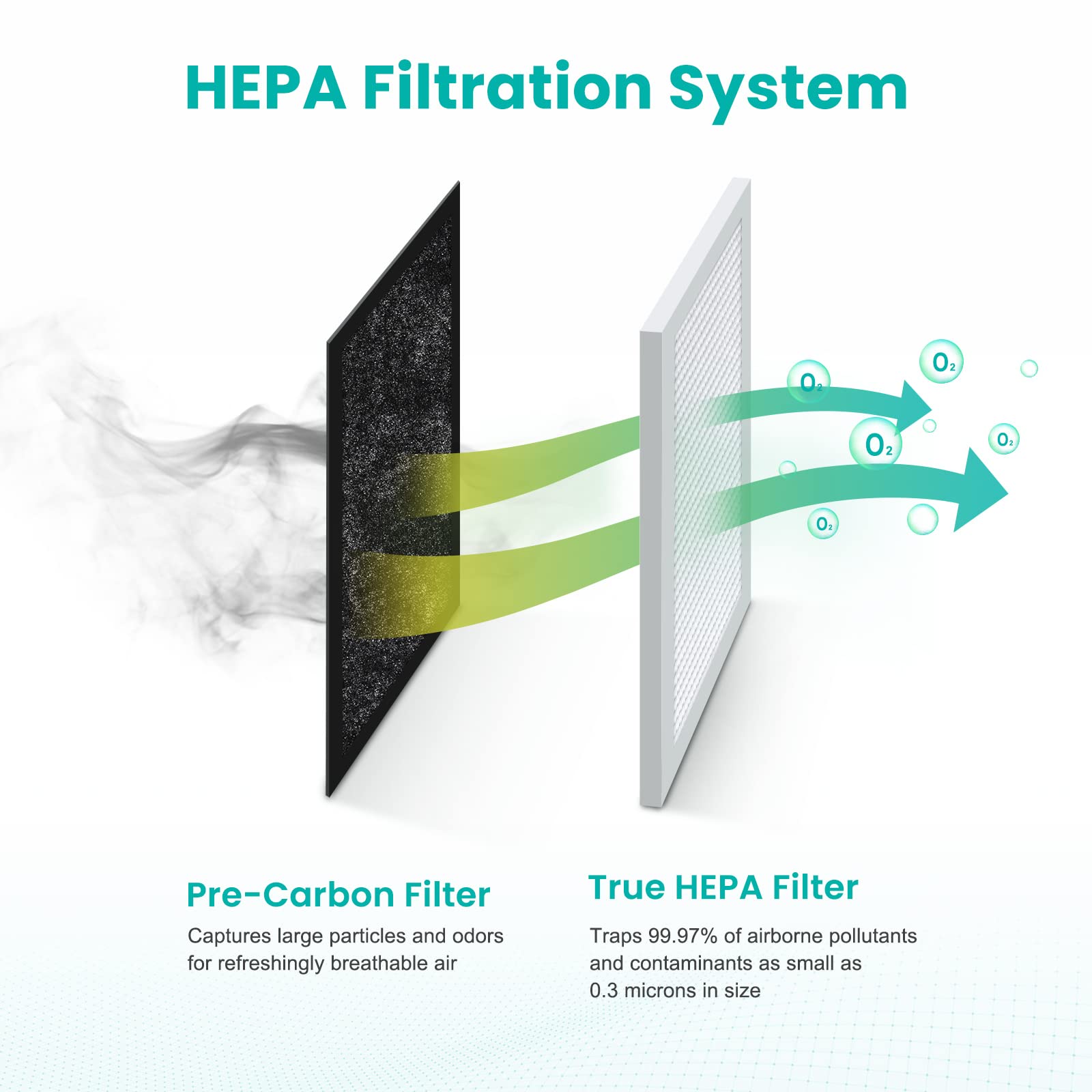 Brightify Air Purifier Filter Replacement for COWAY AP-1512HH Mightty,H13 HEPA Filter Replacement, 2 Pack with 8 Carbon Filters