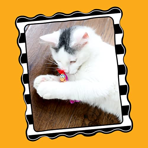 Doskocil Bamboo Pet CAM650037 2-Pack Fat Cat Springy Worms Catnip Toy