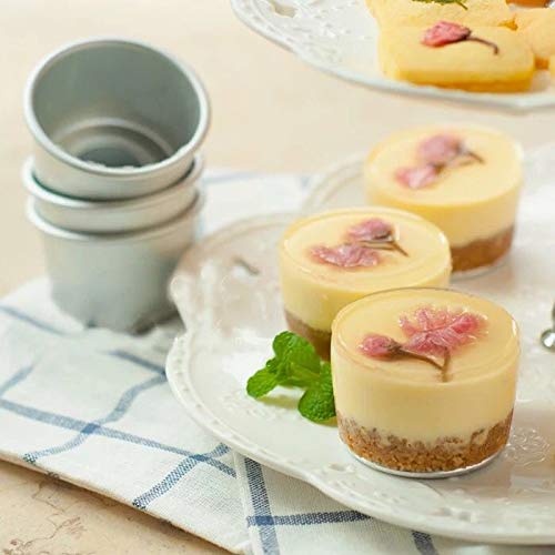 Astra Gourmet Perfect Performance Aluminium Mini Round Cheesecake Pan Cupcake Pan Muffin Pan, Perfect for Indivdiual Desserts, Set of 10