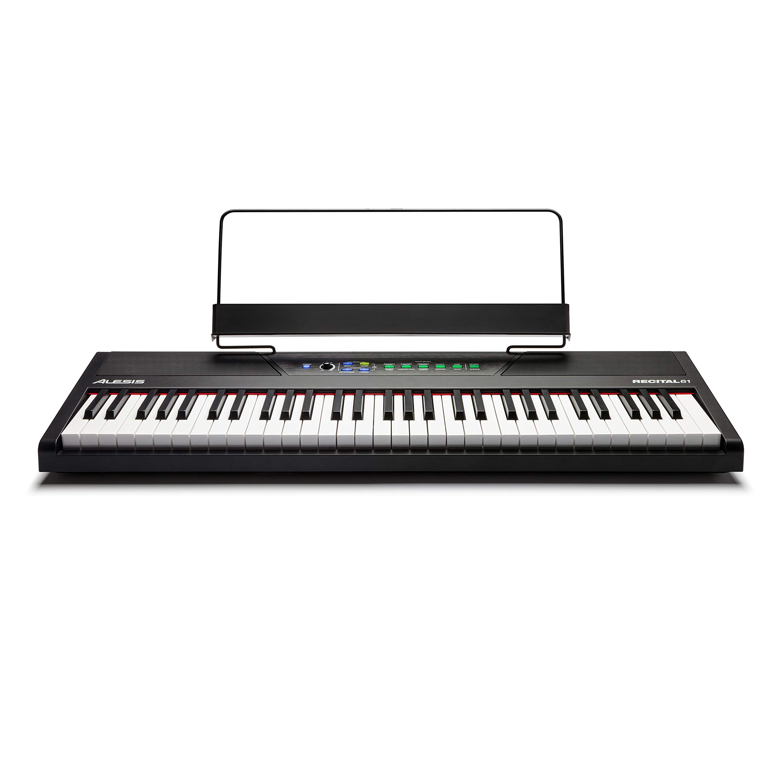 Alesis Recital 61 β 61 Key Digital Piano Keyboard & RockJam Xfinity Heavy-Duty, Double-X, Pre-Assembled, Infinitely Adjustable Piano Keyboard Stand with Locking Straps