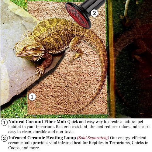 SunGrow Coco Fiber Hermit Crab & Reptile Carpet, Gecko Terrarium Liner, and Floor Bedding Substrate & Supplies, Climbing Wall Carpet & Mat for Hermit Crabs, 10" x 13", 1 Piece Per Pack