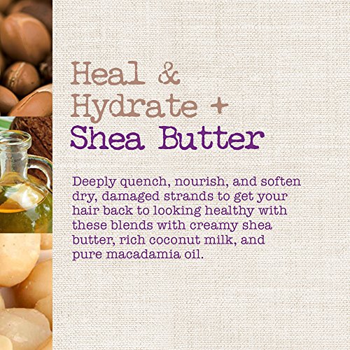 Maui Moisture Heal & Hydrate + Shea Butter Shampoo to Repair & Deeply Moisturize Tight Curly Hair with Coconut & Macademia Oils, Vegan, Silicone-, Paraben- & Sulfate-Free, 33 fl oz
