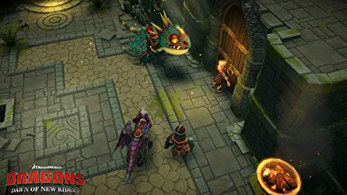 Dragons: Dawn of New Riders - Nintendo Switch