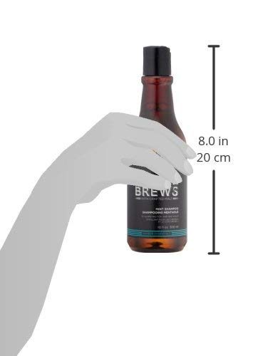 Redken Shampoo For Men, With Menthol For Soothing Application, Cools and Sooths Scalp, Deeply Cleanses Hair, Energizing Mint Scent, Brews, 10.1 fl.oz.