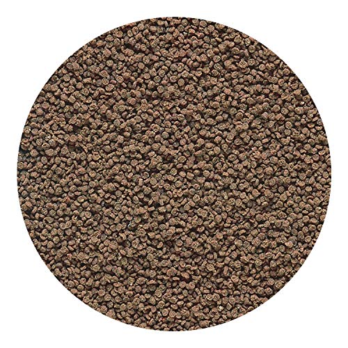 Hikari Micro Wafers Fish Food, 1.58-Ounce