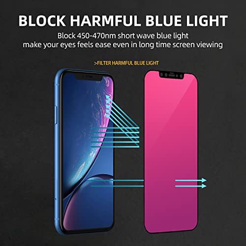 EGKimBa Privacy Screen Protector compatible with iPhone 11 /iPhone XR, 6.1 inch Gradient Colorful Electroplated Anti-Spy Anti-Blue Light Easy Installation Tempered Glass