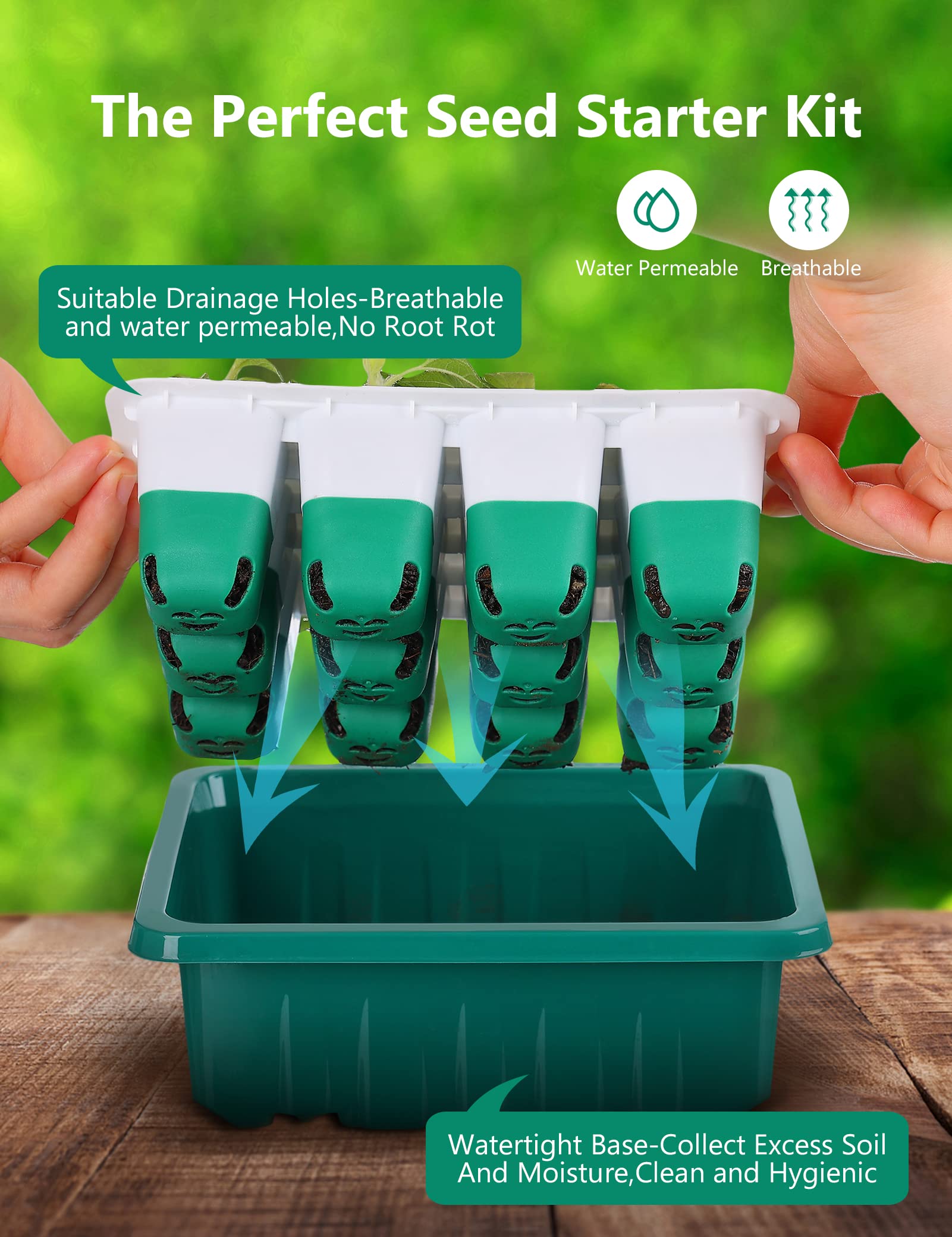 Allox 3 Packs Reusable Seed Starting Trays,36 Cells Seed Germination Kit Indoor Seed Starter Pots with 5 Plant Labels Plant Grow Tray No Humidity Domes Plant Starter Kit