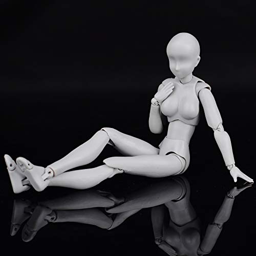 Body Kun DX Set Male Female Gray Color Body-Chan Action Figure Model Set PVC Figure Model Drawing for SHF S H Figuarts