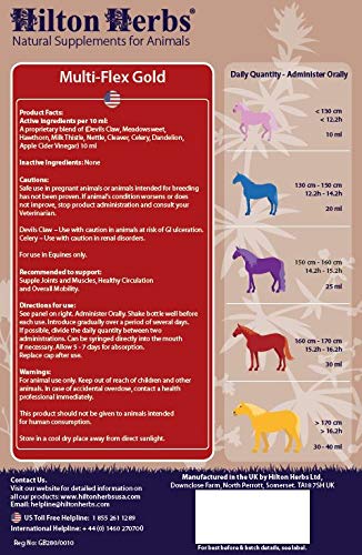 Hilton Herbs Multiflex Gold Liquid Joint & Muscle Supplement for Horses, 2.1pt Bottle