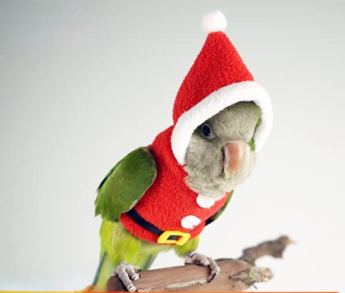Bird Clothes Birds Flight Suit, Christmas Hoodie for Parrots Cockatiel Sun Conure Christmas Party Cosplay Photo Prop Bird Shirt Small Animals Apparel (Without Diaper,Green Quaker)
