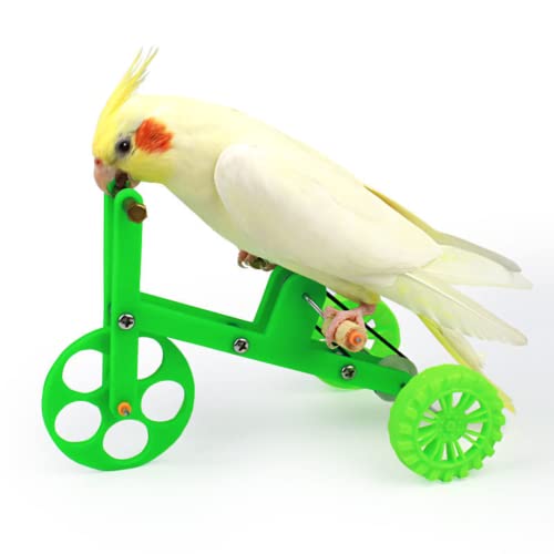 Bird Intelligence Training Toy, Parrot Puzzle Bicycle Toy for Small Medium Bird,Parrot Educational Table Top Trick Prop Toy, Bird Foot Talon Toy for Lovebird Conures Parakeet Random Color