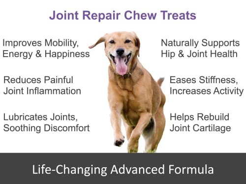 Joint Repair Advanced Hip & Joint Health Supplement for Dogs. Naturally Relieves Arthritis, Pain & Inflammation. Extra Strength Soft Chew Treats with Glucosamine, Chondroitin & MSM Improve Mobility
