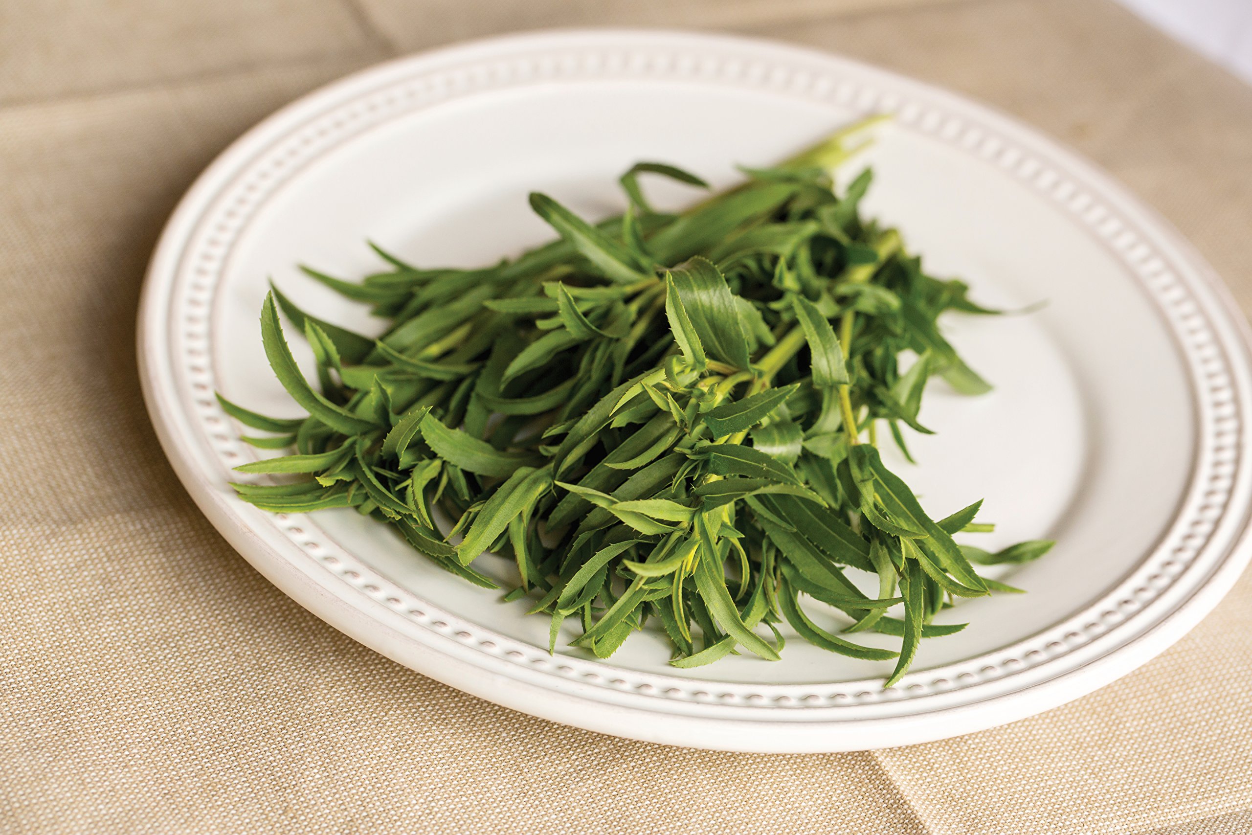 Burpee Mexican Tarragon Seeds 500 seeds