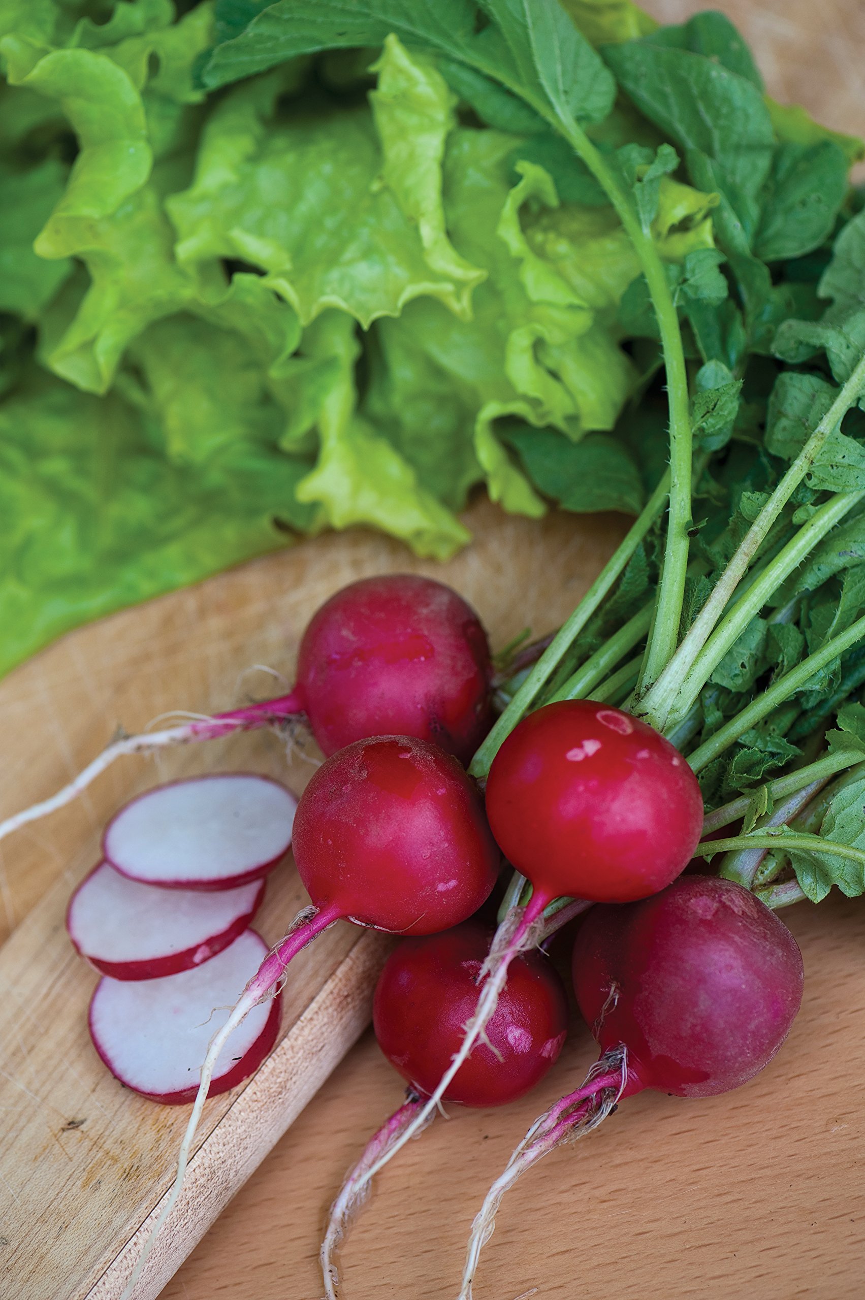 Burpee Cherry Belle Radish Seeds 2000 seeds