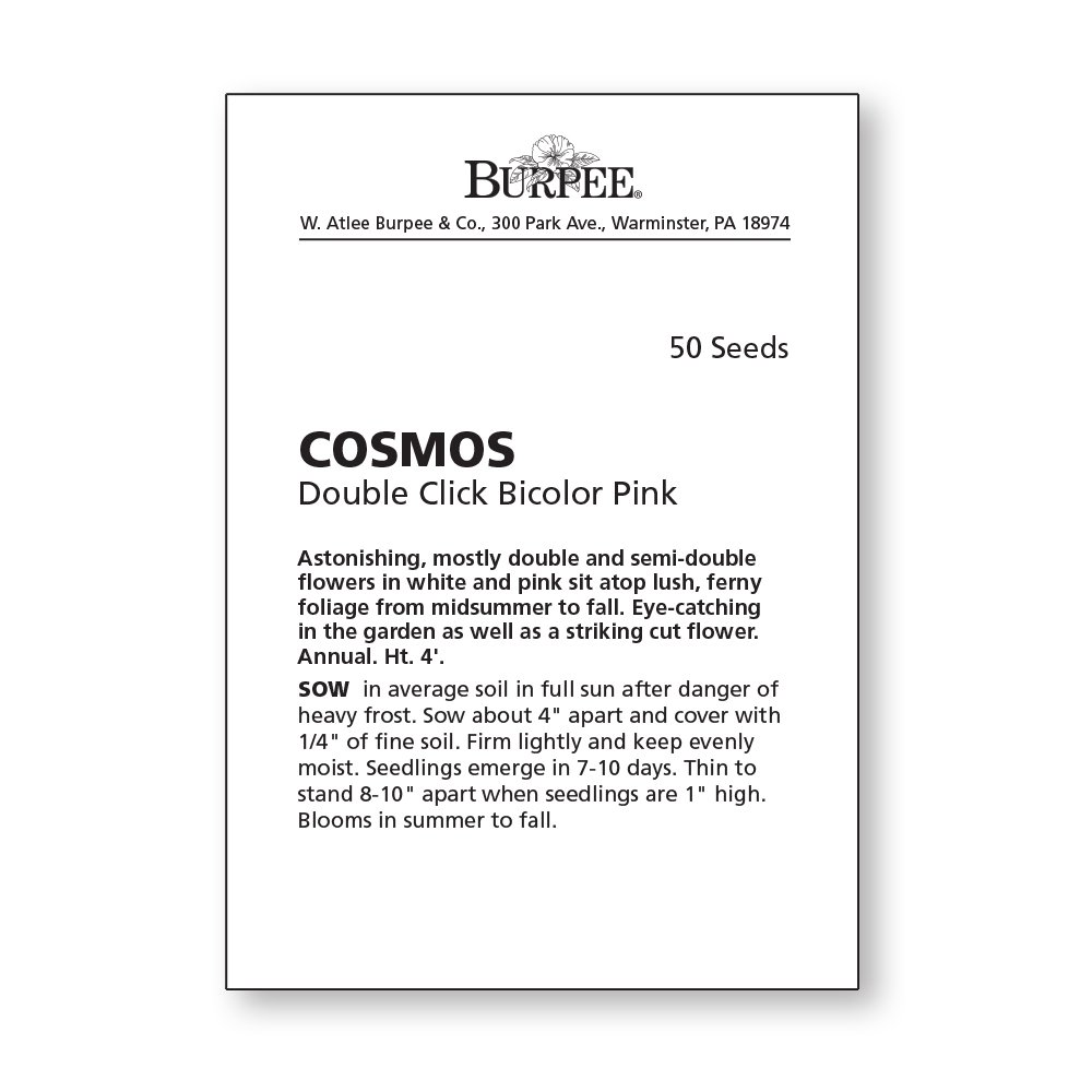 Burpee Double Click Bicolor Pink Cosmos Seeds 50 seeds