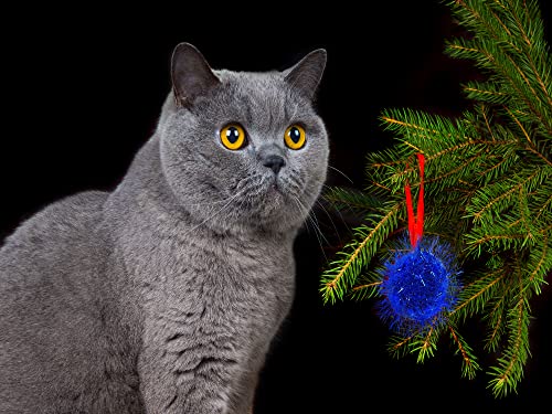 Axe Sickle 100 Pcs 2 Inch Sparkle Ball Cat Toy Interactive Balls Multicolor for Kittens Exercise and Multiple Cats Play and Chase