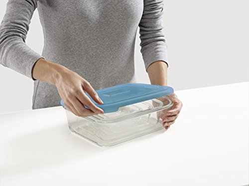 Joseph Joseph Nest Glass Storage Dishes-Multi-Colour, Set of 4, Multicolor