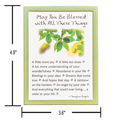 Blue Mountain Arts Encouragement Magnet with Easel Back—Birthday, Wishing You Well, or Just Because Gift by Douglas Pagels, 4.9 x 3.6 Inches (May You Be Blessed with All These Things)