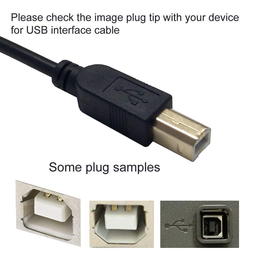 RiteAV 6 inch USB 2.0 A Male to B Male Cable - Black