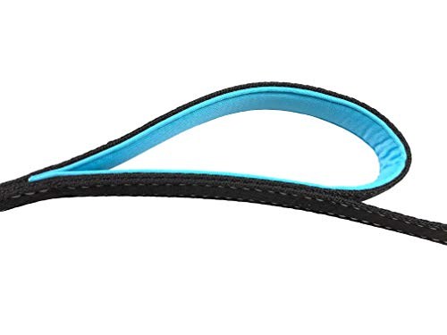 Primal Pet Gear Dog Leash 6ft Long,Traffic Padded Two Handle,Heavy Duty,Reflective Double Handles Lead for Control Safety Training,Leashes for Large Dogs or Medium Dogs,Dual Handles Leads(Black)